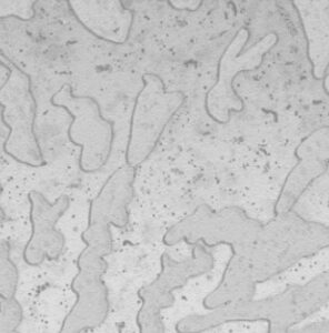 16 Modern Drywall Texture Types - Evolving Home